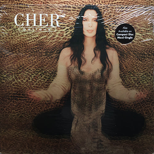 CHER // BELIEVE (7VER) – next records japan