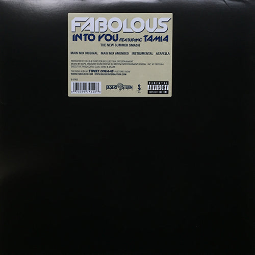 FABOLOUS feat. TAMIA // INTO YOU (5VER) – next records japan