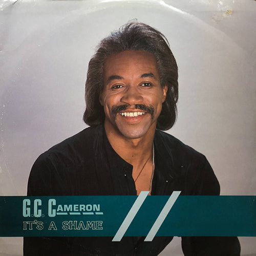 G.C. CAMERON // IT'S A SHAME / INST – next records japan
