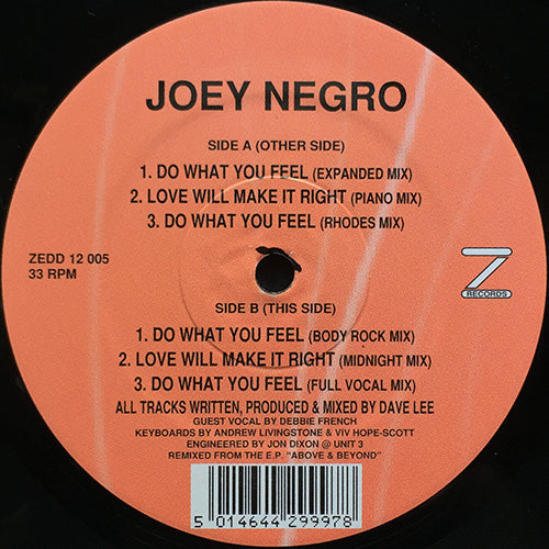 JOEY NEGRO // DO WHAT YOU FEEL (6VER) – next records japan